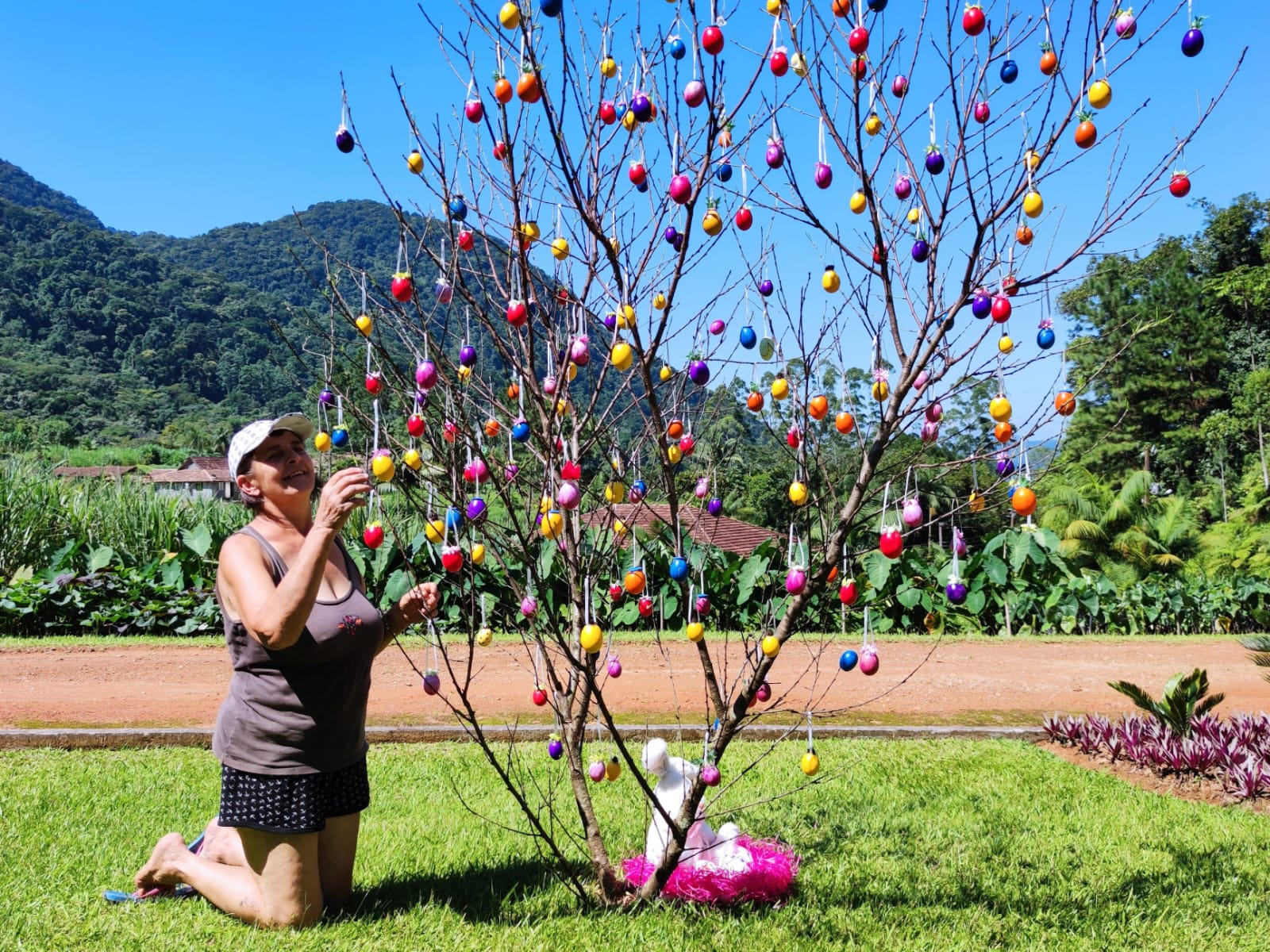 Concurso vai eleger a mais bela Árvore de Páscoa da Rota do Enxaimel ...